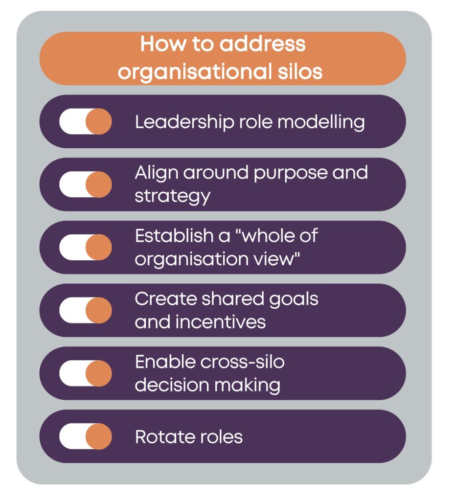 How to mend organisational silos | Sarah Robertson Consulting